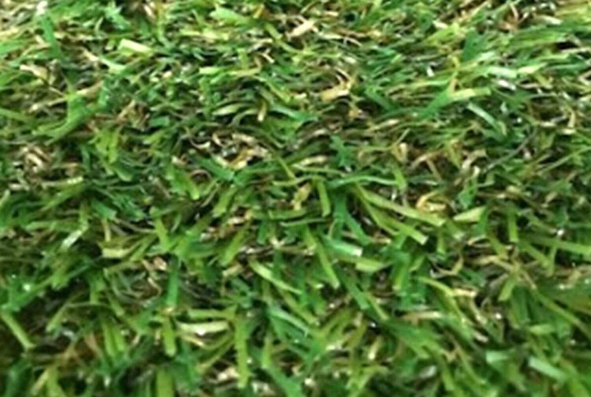 Natural 30 - Shop Artificial Grass Product - Easy Turf